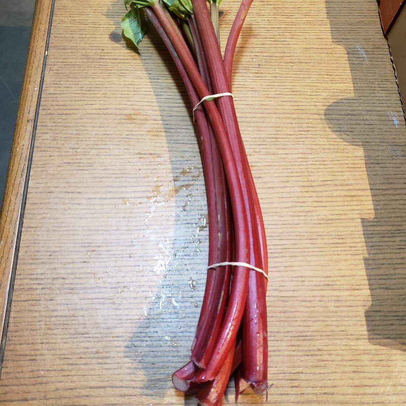 Rhubarb, Red Valentine - FairShare