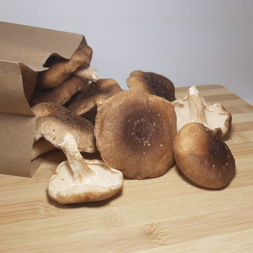 Mushrooms, Shiitake 16oz - TCM