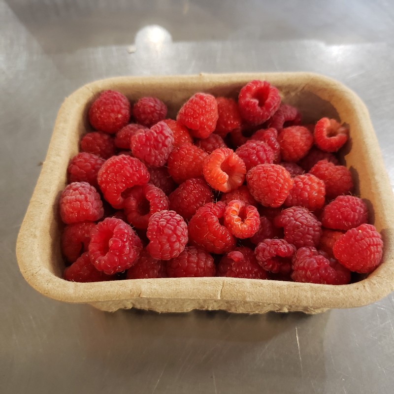 Raspberries - Summer's Harvest
