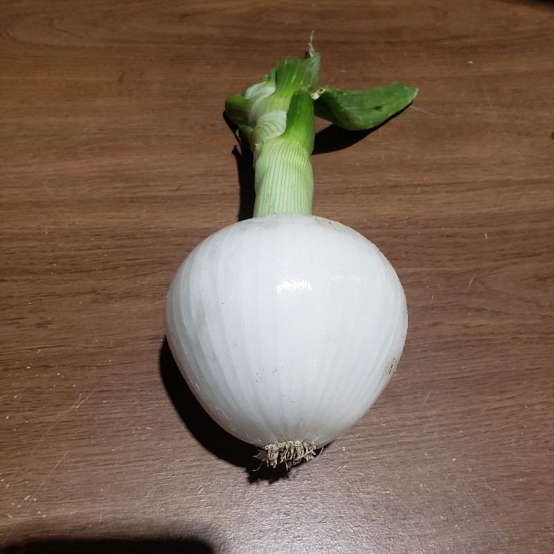 Fresh Onions, Sweet Spanish 1 unit - Summer's Harvest