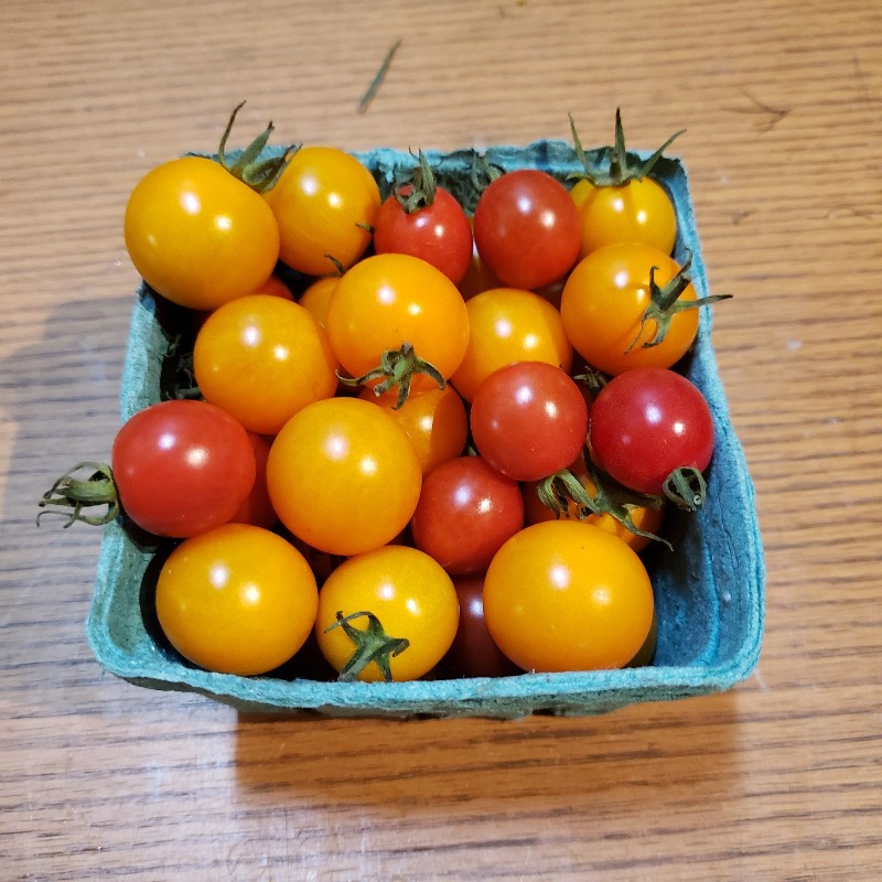 Tomatoes, Cherry mixed pint - Bauman
