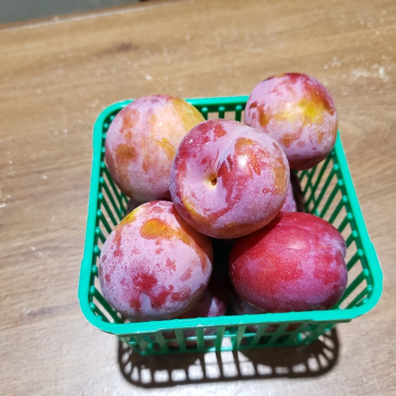 Home - The Sustainable Market