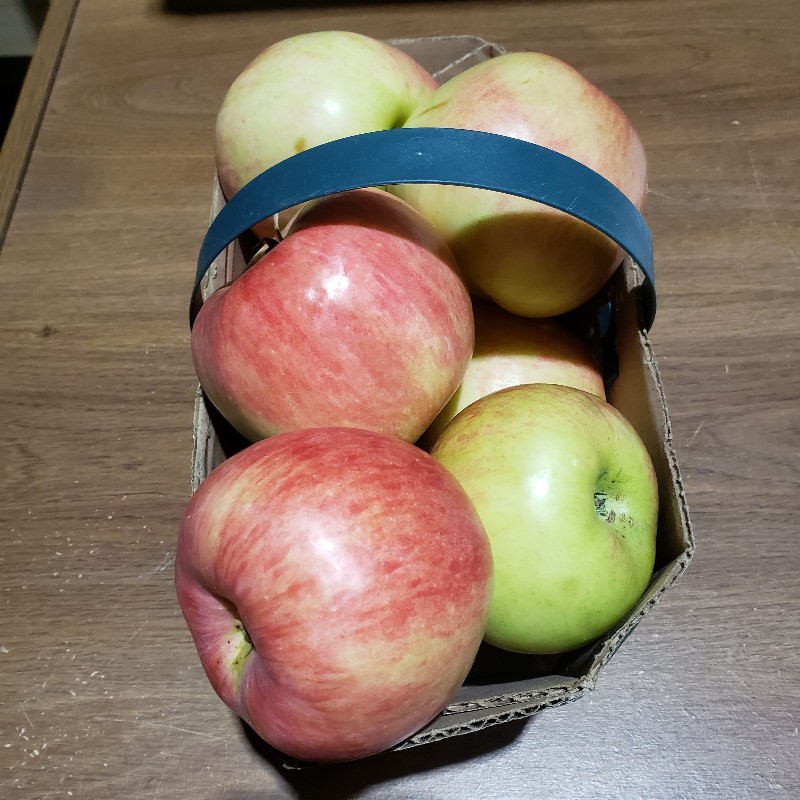 Apples, State Fair 3L - Warner's