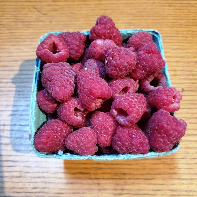 Home - The Sustainable Market